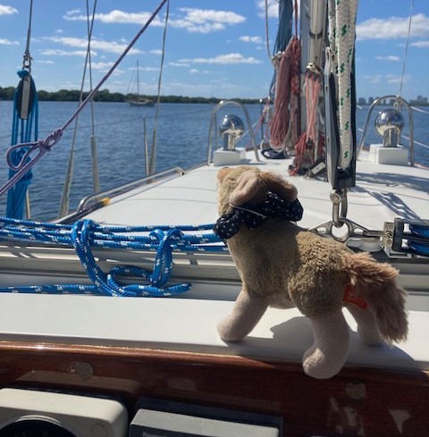 May 8, 2023 – Floriana